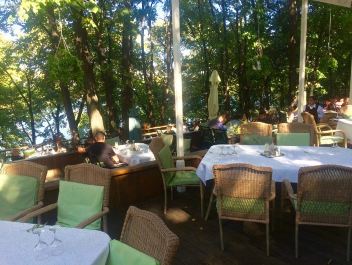 Excursie de o zi pe lângă București, cu copiii: pădurea Pustnicu