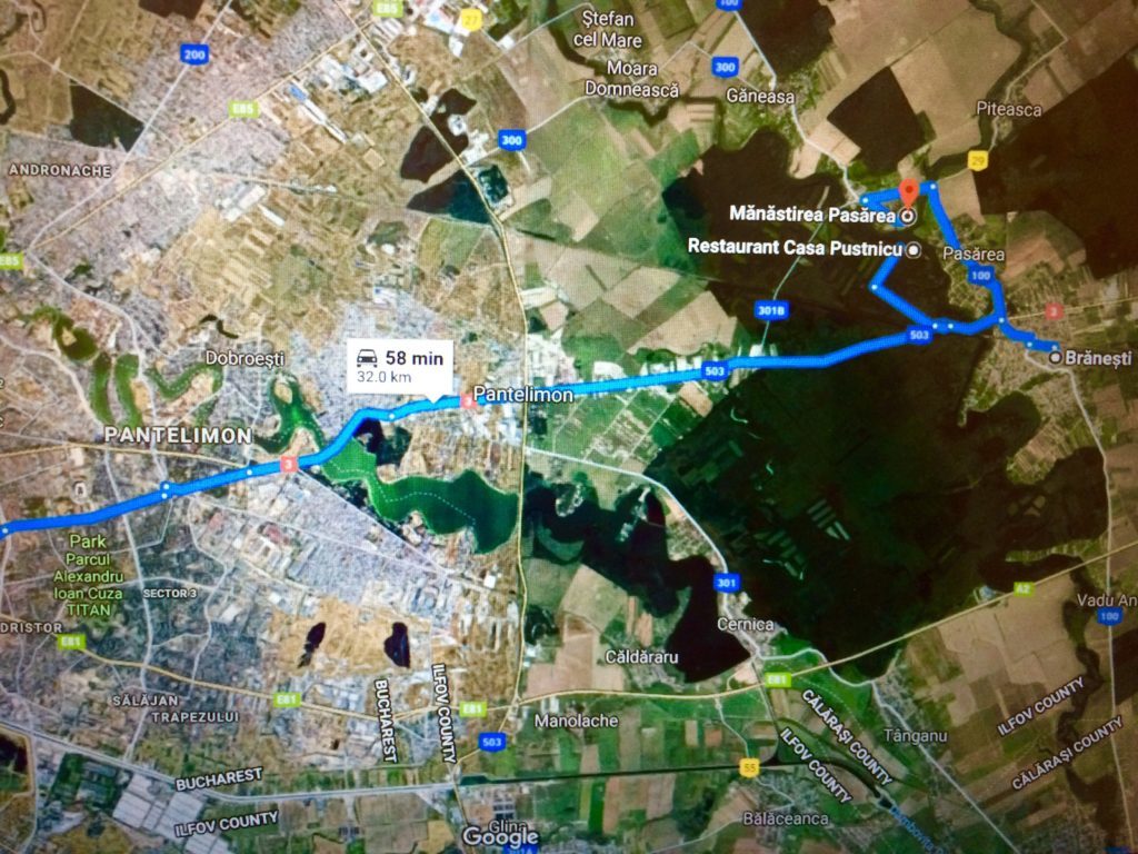 Excursie de o zi pe lângă București, cu copiii: pădurea Pustnicu