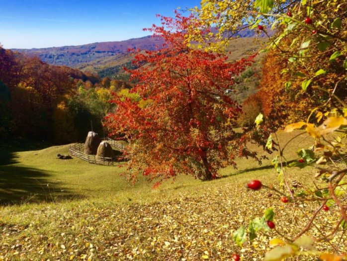 12+ locuri de poveste unde putem admira toamna în România