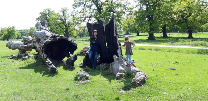 10 locuri child friendly de vizitat în România cu copiii