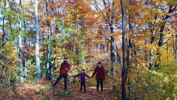12+ locuri de poveste unde putem admira toamna în România
