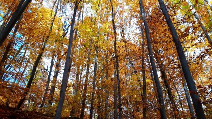 12+ locuri de poveste unde putem admira toamna în România